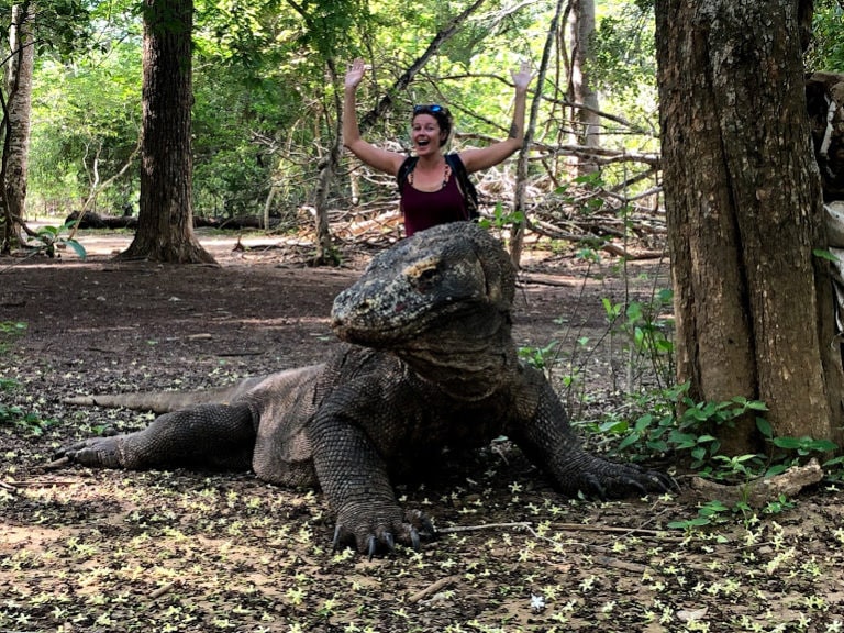 Where To See Komodo Dragons (Rinca Or Komodo?) | 2026